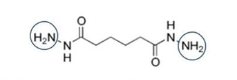 Adipic Dihydrazide